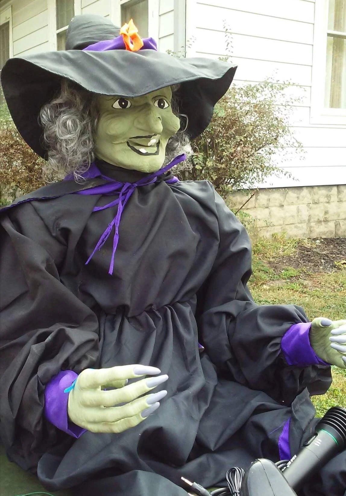 Talking Witch | Gemmy Wiki | Fandom