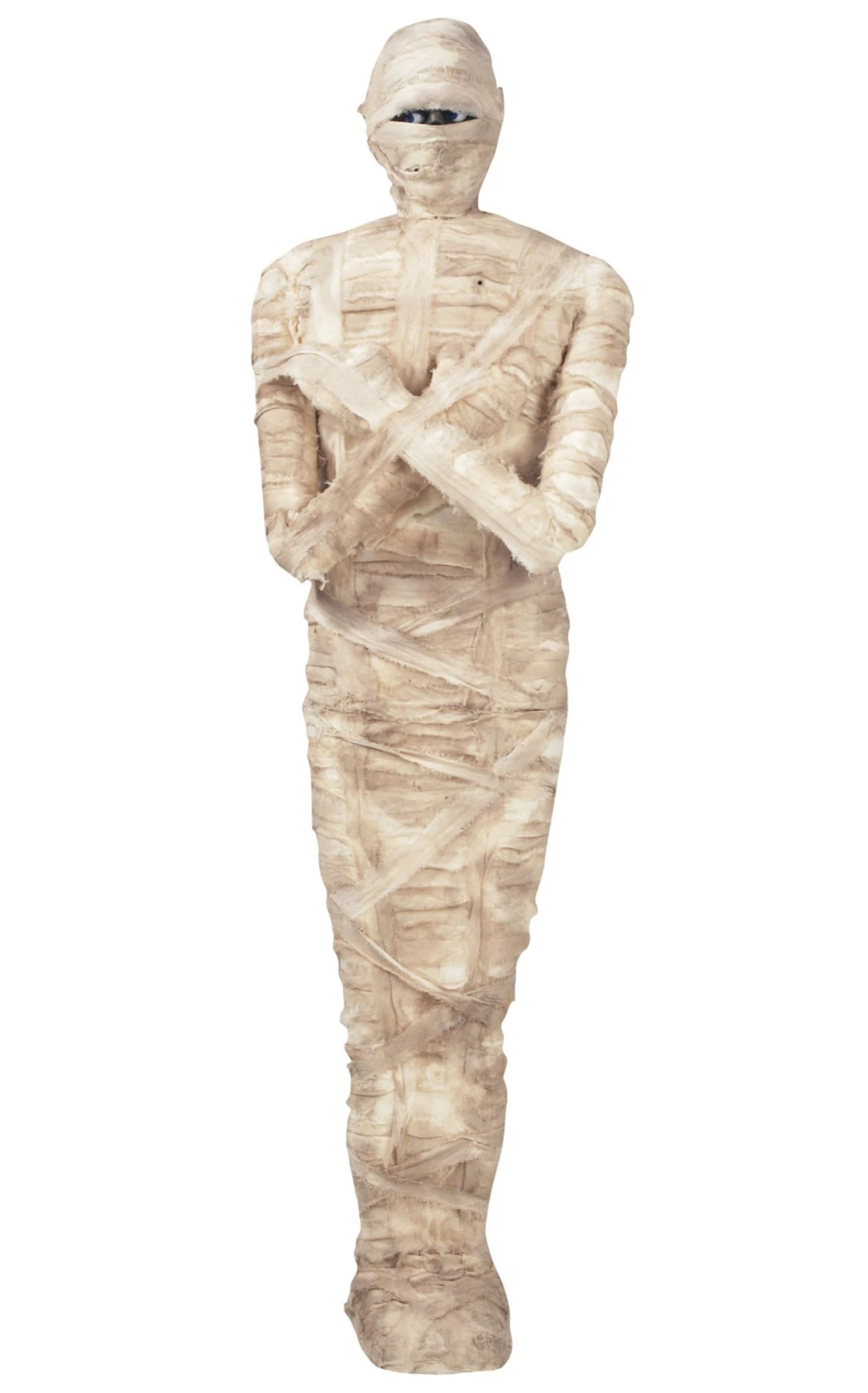 Life Size Mummy | Gemmy Wiki | Fandom