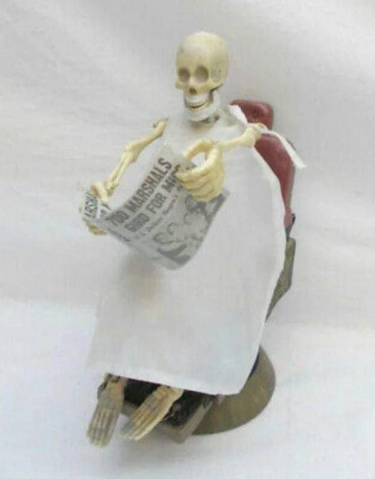 Barber Chair Skeleton | Gemmy Wiki | Fandom