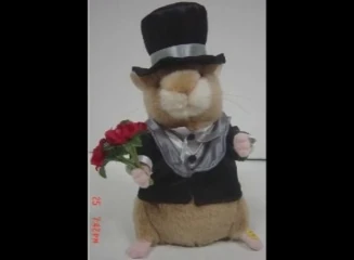 Anniversary (Hamster) | Gemmy Wiki | Fandom