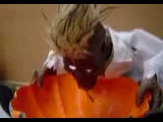 Barfing Zombie Candy Bowl | Gemmy Wiki | Fandom