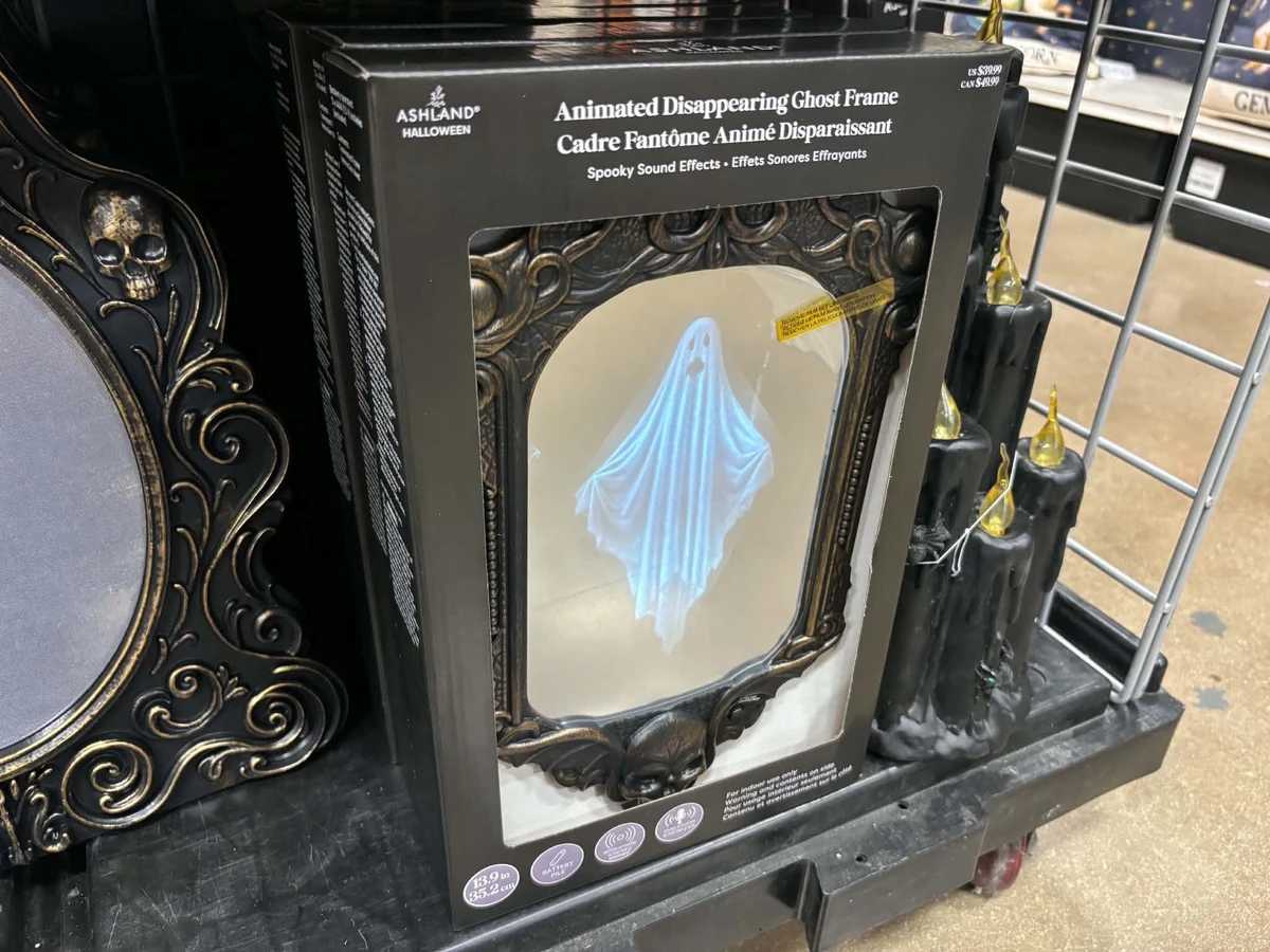 Disappearing Ghost Frame | Gemmy Wiki | Fandom