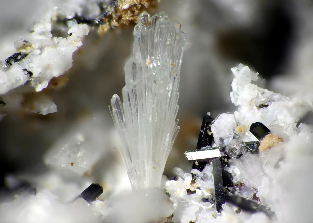 Prismatic Kozoite | Gemstone Wiki | Fandom