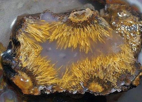 Sagenite Agate | Gemstone Wiki | Fandom