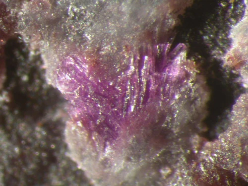 Acicular Sugilite | Gemstone Wiki | Fandom