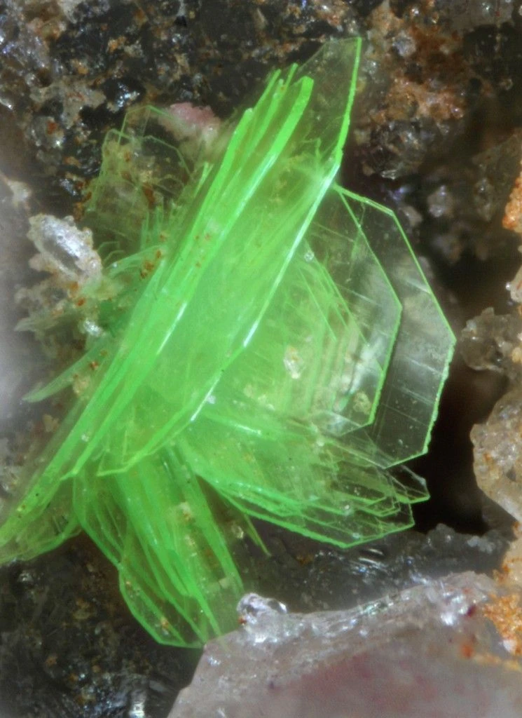 Heinrichite | Gemstone Wiki | Fandom