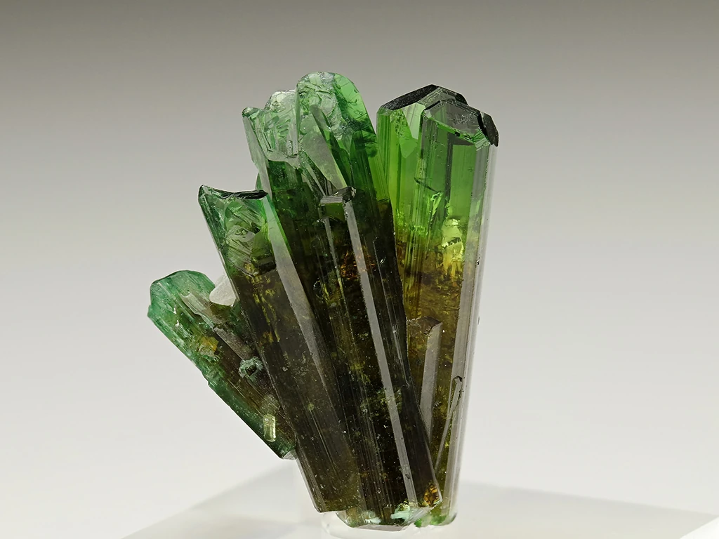 Chrome Dravite | Gemstone Wiki | Fandom