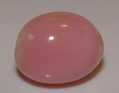 Queen Conch Pearl | Gemstone Wiki | Fandom