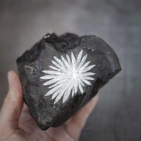 Chrysanthemum Stone | Gemstone Wiki | Fandom