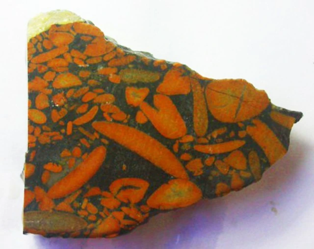 Bamboo Jasper | Gemstone Wiki | Fandom