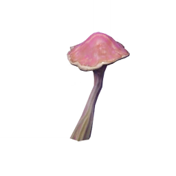 Hongo clavijero | Wiki Genshin Impact | Fandom