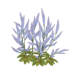 Somnolencia del espliego | Wiki Genshin Impact | Fandom