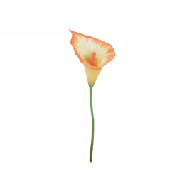 Círculo ocre | Wiki Genshin Impact | Fandom