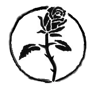 Black Rose Foundation | Gen 2 RPG Wiki | Fandom