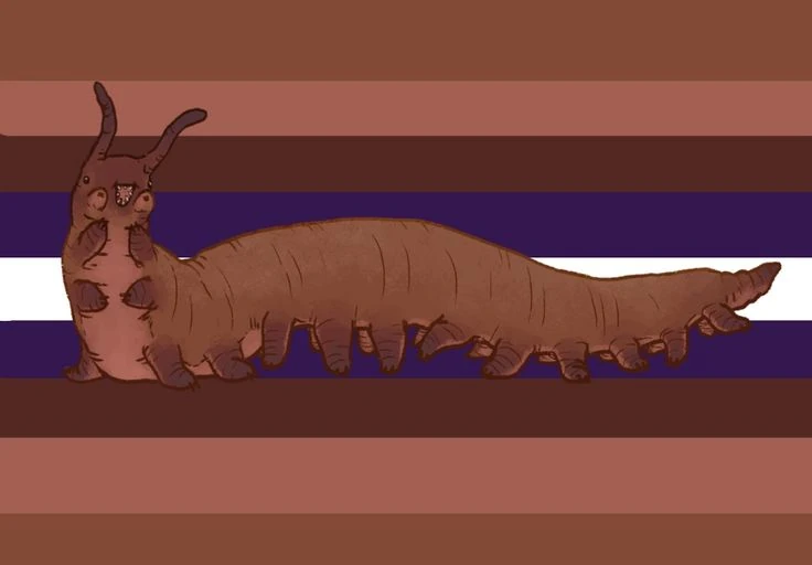 Velvetwormic | Gender Wiki | Fandom
