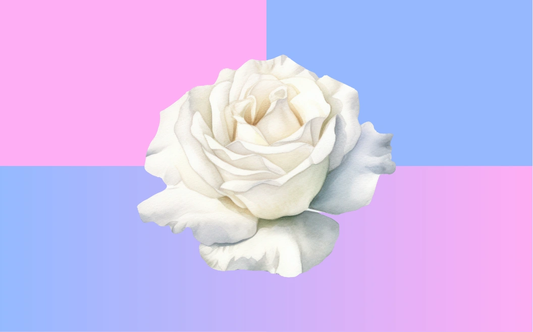 Puregender | Gender Wiki | Fandom