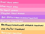Transfeminine | Gender Wiki | Fandom