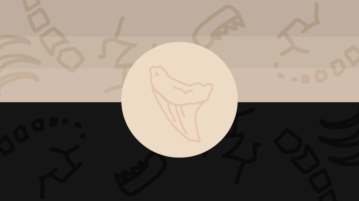 Bonefossilgender | Gender Wiki | Fandom