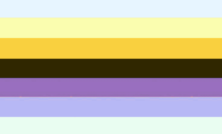 Nonbinary gendermess | Gender Wiki | Fandom