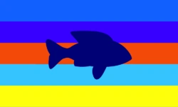 Ichthyogender | Gender Wiki | Fandom