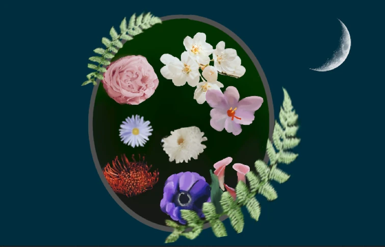 Flowernonbinary | Gender Wiki | Fandom