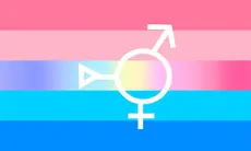 Trigender | Gender Wiki | Fandom