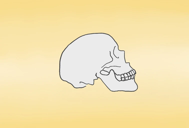 Genderinmortui | Gender Wiki | Fandom