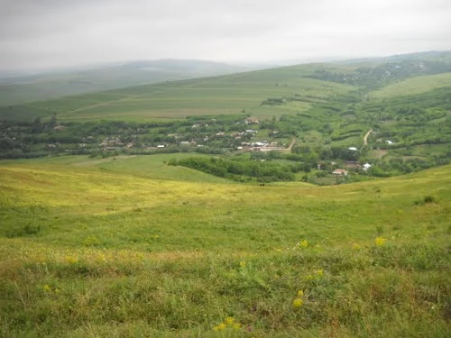 Plopi, Vaslui | Familypedia | Fandom