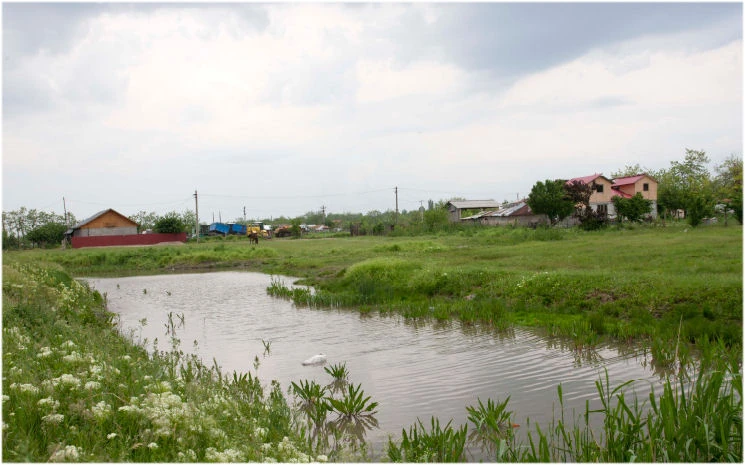 Smeeni, Buzău | Familypedia | Fandom