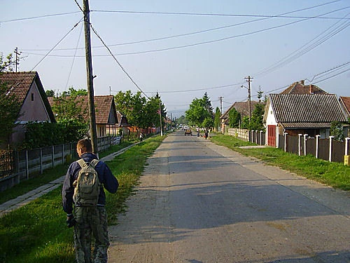 Commune of Bogata, Mureș | Familypedia | Fandom