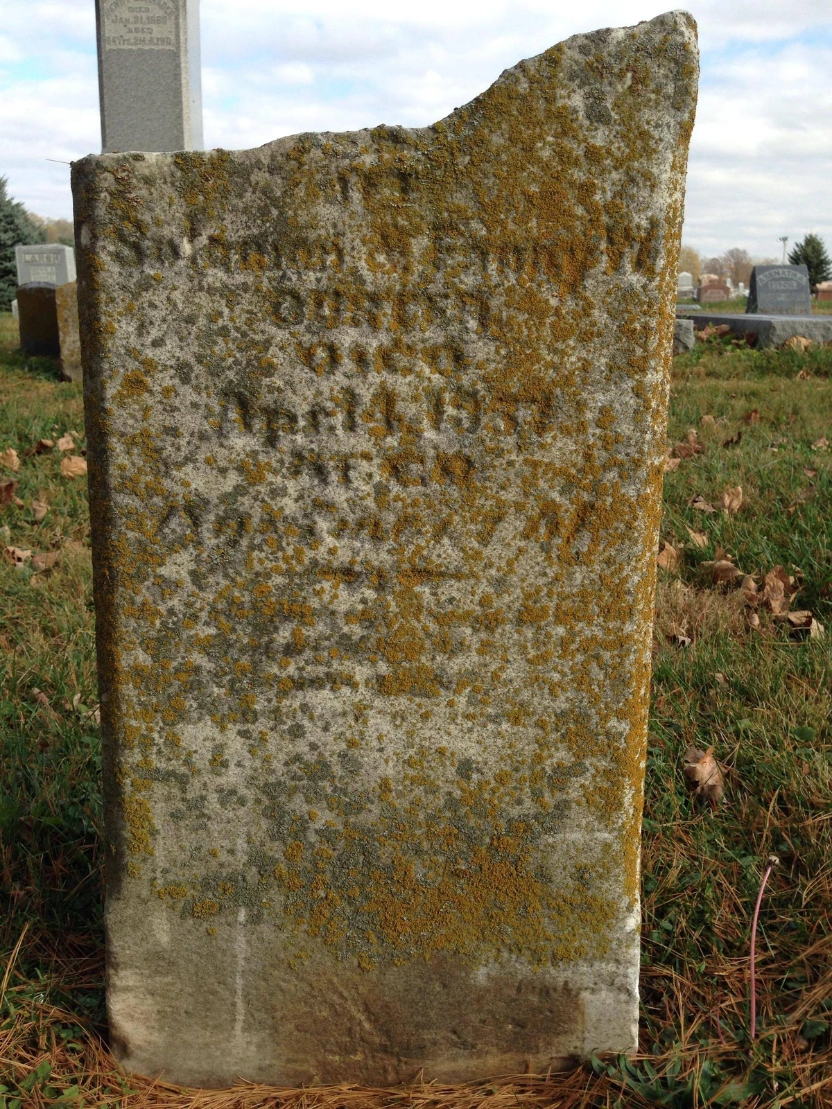 Solomon Franklin Custer (1817-1885) | Familypedia | Fandom