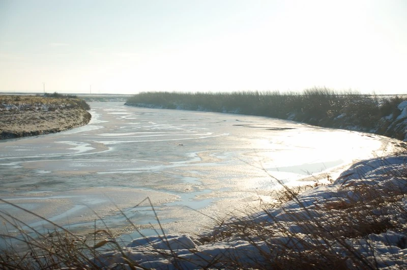 Commune of Adâncata, Ialomița | Familypedia | Fandom