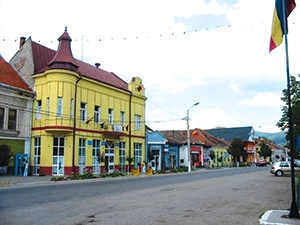 Seini | Familypedia | Fandom