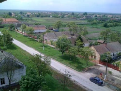 Ivanda, Timiș | Familypedia | Fandom