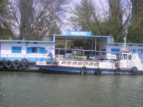 Commune of Maliuc, Tulcea | Familypedia | Fandom