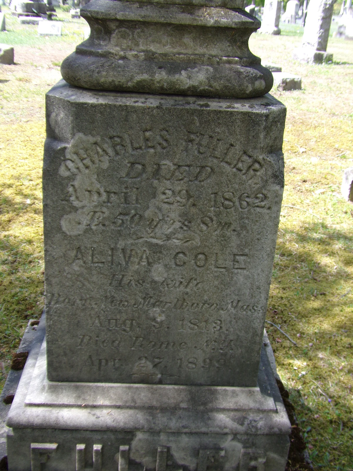 Charles Fuller (1811-1862) | Familypedia | Fandom