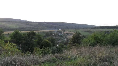 Zgura, Vaslui | Familypedia | Fandom