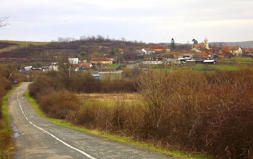 Commune of Bogda, Timiș | Familypedia | Fandom