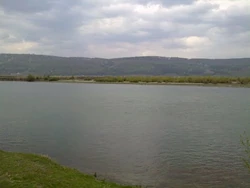 Burcioaia, Vrancea | Familypedia | Fandom