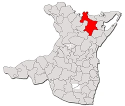 Commune of Cogealac, Constanța | Familypedia | Fandom