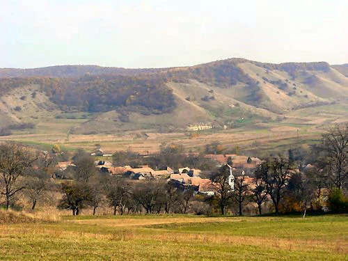 Daia (Bahnea), Mureș | Familypedia | Fandom