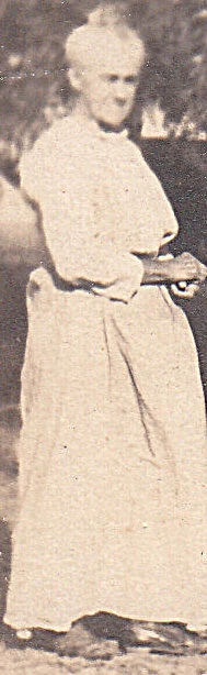 Sarah Jane Woolsey (1859-1934) | Familypedia | Fandom