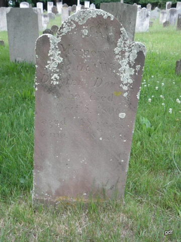 Abigail Tuthill (1758-1806) | Familypedia | Fandom