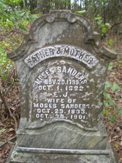 Elizabeth J Meeks (1833-1901) | Familypedia | Fandom