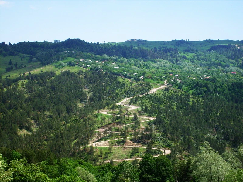 Bisoca, Buzău | Familypedia | Fandom