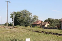 Micula, Satu Mare | Familypedia | Fandom