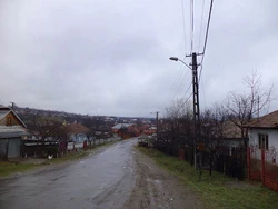 Poduri, Bacău | Familypedia | Fandom