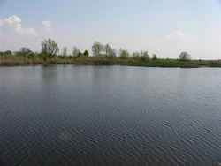 Baba Novac, Satu Mare | Familypedia | Fandom