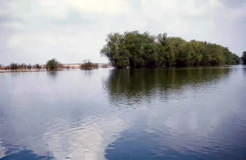 Commune of Somova, Tulcea | Familypedia | Fandom