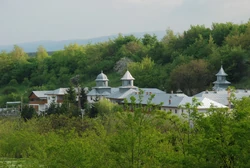 Panciu | Familypedia | Fandom